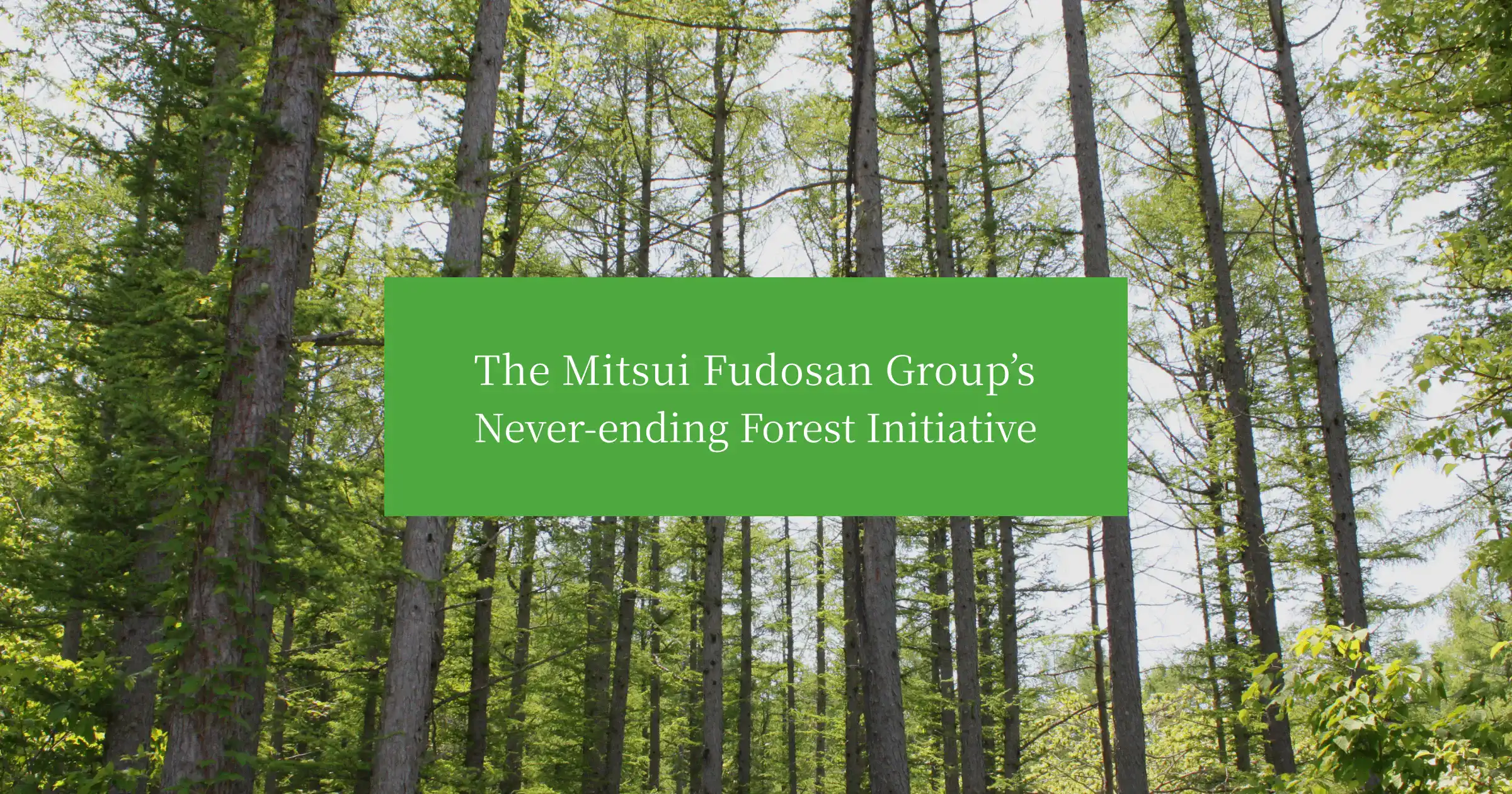 Helping to mitigate climate change｜Mitsui Fudosan